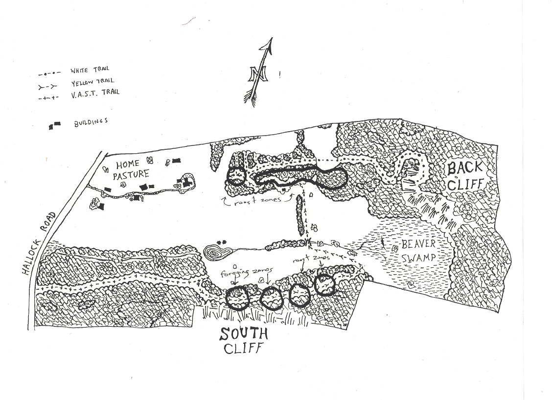 Map of Bat Zones | Treleven